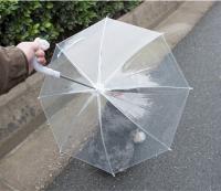 China Transparent Umbrella For Dogs To Keep Them From Getting Wet for sale