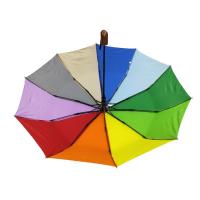 China Hands Free Automatic Compact Umbrella For Wind Resistance And Rain Protection for sale