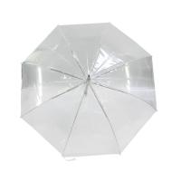 China Clear Canopy Umbrella 23 Inches Fiberglass Ribs Aluminum Shaft Auto Open Transparent Rain Umbrella for sale