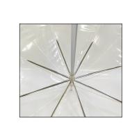 China Clear Canopy Umbrella 23 Inches Fiberglass Ribs Aluminum Shaft Auto Open Transparent Rain Umbrella for sale