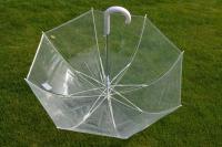 China 23 Inch Transparent Rain Umbrella Auto Open Fiberglass Ribs Unisex Clear Canopy for sale