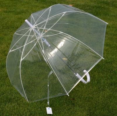 China 23 Inch Transparent Rain Umbrella Auto Open Fiberglass Ribs Unisex Clear Canopy for sale