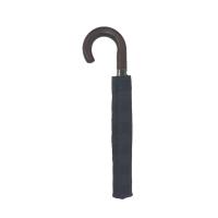 China 23 Inch 2 Fold Automatic Umbrella With Wood Handle for sale