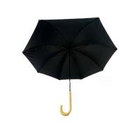 China 190T Pongee Fabric Auto Open Stick Umbrella 23 Inch Fiberglass Frame 8 Ribs for sale