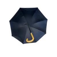 China 190T Pongee Fabric Auto Open Stick Umbrella 23 Inch Fiberglass Frame 8 Ribs for sale