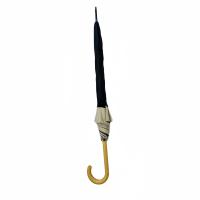 China 190T Pongee Fabric Auto Open Stick Umbrella 23 Inch Fiberglass Frame 8 Ribs for sale