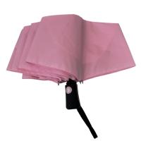 China Compact  Foldable Umbrella  Ladies Umbrella with Auto Open and Auto closed for sale