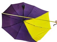 China 23 Inch 9 Rib Irregular Backpack Umbrella Metal Frame Pongee Fabric Windproof Protection for sale