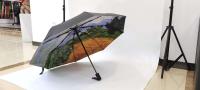 China Custom Print Waterproof 3 Fold Umbrella 21 Inch 8 Ribs Manual Open Steel Frame for sale