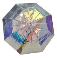 China Fashionable Ladies Transparent Umbrella Auto Open 103cm Canopy Custom Logo for sale