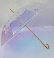 China Fashionable Ladies Transparent Umbrella Auto Open 103cm Canopy Custom Logo for sale