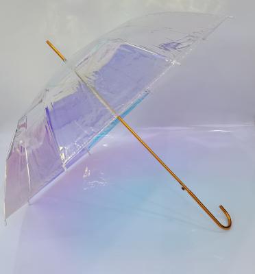 China Fashionable Ladies Transparent Umbrella Auto Open 103cm Canopy Custom Logo for sale