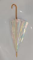 China Fashionable Ladies Transparent Umbrella Auto Open 103cm Canopy Custom Logo for sale