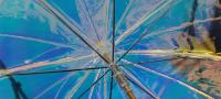 China Fashionable Ladies Transparent Umbrella Auto Open 103cm Canopy Custom Logo for sale