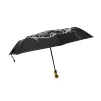 China Foldable Umbrella 8 Ribs 27cm Closed Length Auto Open Close Compact Travel Umbrella for sale