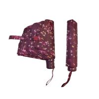 China UP3001 Foldable Umbrella Auto Open Close 27cm Compact Waterproof with Carrying Case for sale