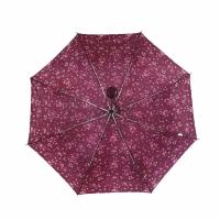 China UP3001 Foldable Umbrella Auto Open Close 27cm Compact Waterproof with Carrying Case for sale