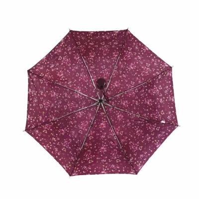 China UP3001 Foldable Umbrella Auto Open Close 27cm Compact Waterproof with Carrying Case for sale