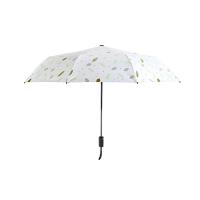China 8 Ribs Compact Folding Umbrella Auto Open Close 27cm Lightweight Rain Protection for sale
