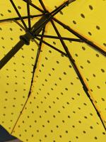 China 105cm Automatic Travel Umbrella with Rubber Coating Handle 26cm Folded Length Portable for sale