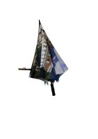China Custom Printed 32 Inch Promotional Golf Umbrella Metal Fiberglass Frame EVA Handle Auto Open for sale