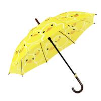 China Customizable Kids Compact Umbrella 19 Inch Polyester Pongee Cartoon Design for sale