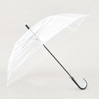 China 23 Inch 8K Transparent Rain Umbrella with Colorful Frame and Plastic Handle for sale