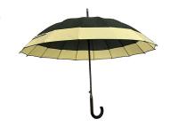 China 25 Inch Windproof Sport Auto Open Umbrella with 16 Ribs and Rubber Handle - 103-108cm Coverage for sale