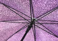 China 23 Inch Auto Open Stick Umbrella with Double Layer Canopy and J-Shaped Handle - 100-103cm Diameter for sale