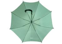 China Light Green Women's 23