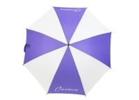 China 23 Inch Automatic Promotional Umbrella with 105cm Diameter and 10mm Metal Shaft for Custom Logo Printing for sale