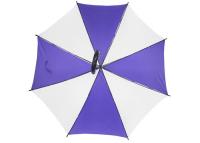 China 23 Inch Automatic Promotional Umbrella with 105cm Diameter and 10mm Metal Shaft for Custom Logo Printing for sale