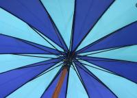 China J Shape Wooden Stick Umbrella 26