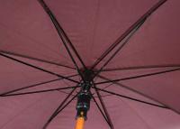China 23 Inch Windproof Wooden Handle Umbrella with Auto Open - 8 Panel Double Canopy for Heavy Winds for sale