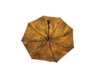 China 23 Inch Auto Open Close Foldable Umbrella with Windproof Fiberglass Frame for sale
