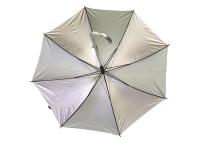 China 23-inch Straight Aluminum Umbrella with Silver Glue Coating, Auto Open J-Shape Handle, 100-103cm Diameter for sale