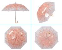 China Compact Transparent Rain Umbrella 38 Inch Auto Open with Plastic Hook Handle and Butterfly Print Design for sale