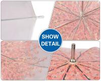 China Compact Transparent Rain Umbrella 38 Inch Auto Open with Plastic Hook Handle and Butterfly Print Design for sale
