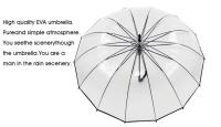 China 16K POE Transparent Rain Umbrella with 98cm Diameter and Auto-Open Metal Frame for sale