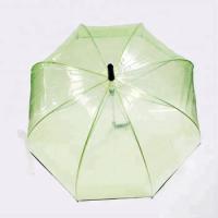 China Green POE Clear Dome Bubble Umbrella 97cm with Auto-Open Mechanism and Black Trim - Metal Frame Construction for sale