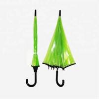 China Green POE Clear Dome Bubble Umbrella 97cm with Auto-Open Mechanism and Black Trim - Metal Frame Construction for sale