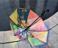 China 23-Inch Iridescent Hologram Transparent Rain Umbrella with 102cm Canopy and Auto-Open Mechanism for sale