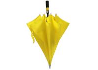 China Women's Heavy Duty Golf Umbrella Auto Open 27 Inch 8-Panel with Fiberglass Frame and EVA Handle for sale