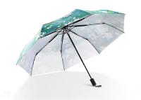 China 21 Inch Automatic Travel Umbrella Compact Double Fold Windproof Polyester Canopy 98cm Open Diameter for sale