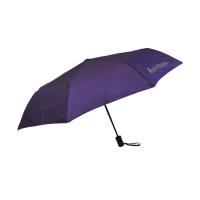 China Windproof 21 Inch Double Layer Folding Umbrella with Fiberglass Frame and Auto Open/Close Mechanism for sale