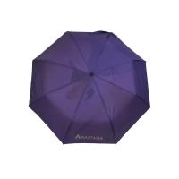 China Windproof 21 Inch Double Layer Folding Umbrella with Fiberglass Frame and Auto Open/Close Mechanism for sale