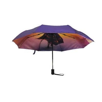 China Windproof 21 Inch Double Layer Folding Umbrella with Fiberglass Frame and Auto Open/Close Mechanism for sale