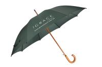 China 98cm Auto Open Transparent Bubble Umbrella with Wooden Handle - 23