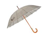 China 98cm Auto Open Transparent Bubble Umbrella with Wooden Handle - 23
