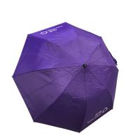 China Wholesale SilkLogo Plastic Straight Handle Compact 2 Fold Umbrella for sale